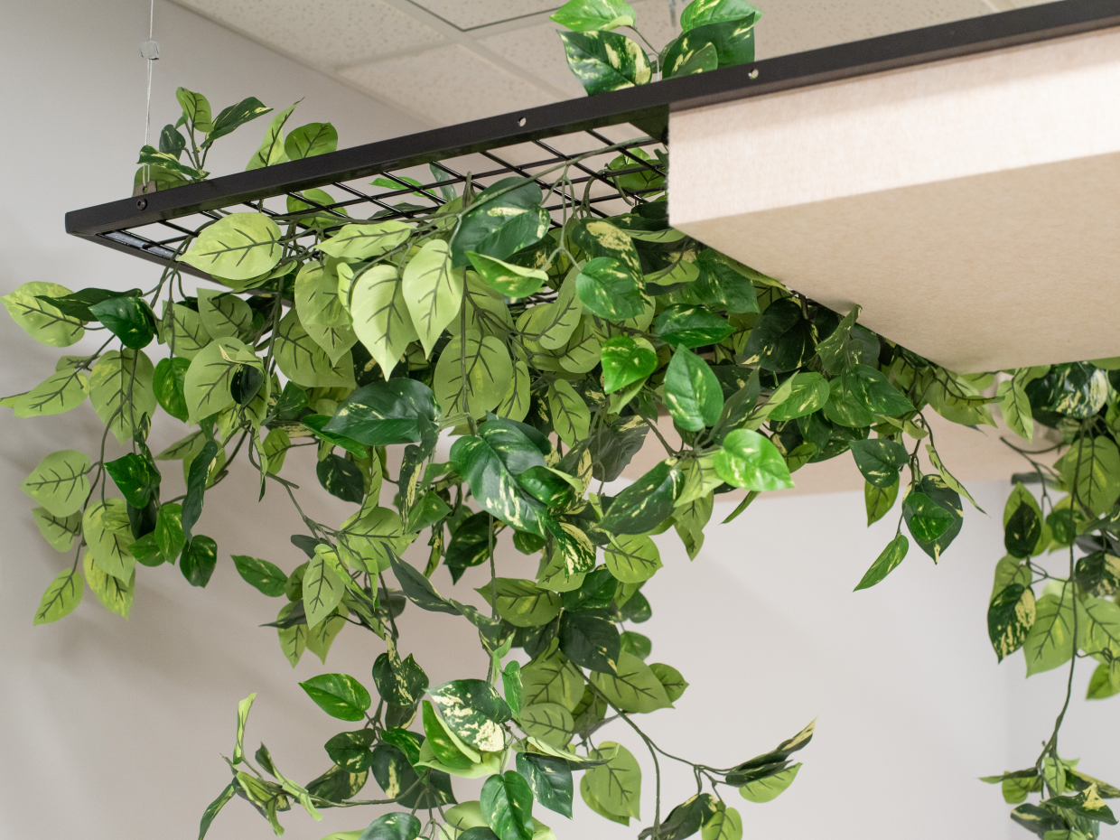 Lanai | CSI Creative