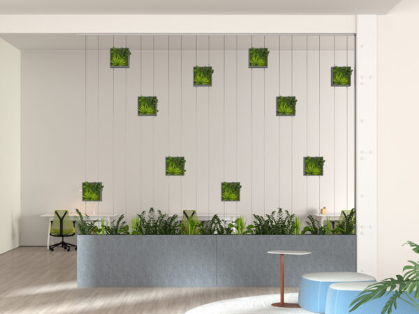 Collections - Earth - CSI Creative