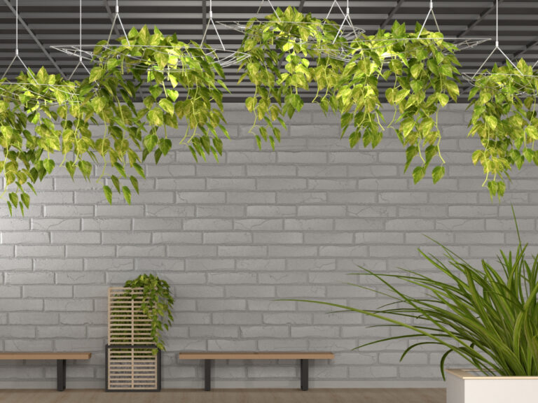 Screen Leaf Cloud | CSI Creative