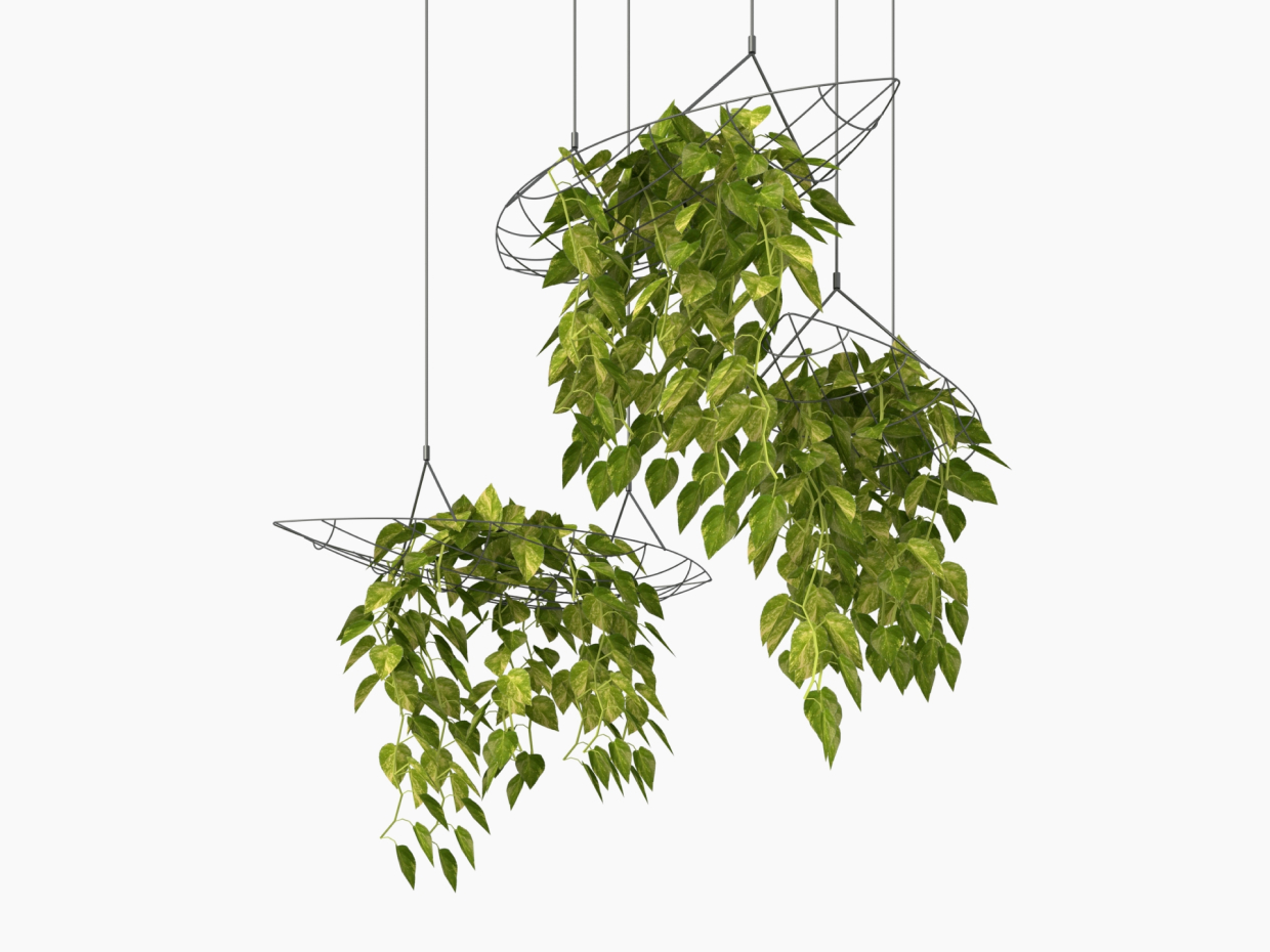 Screen Leaf Cloud | CSI Creative