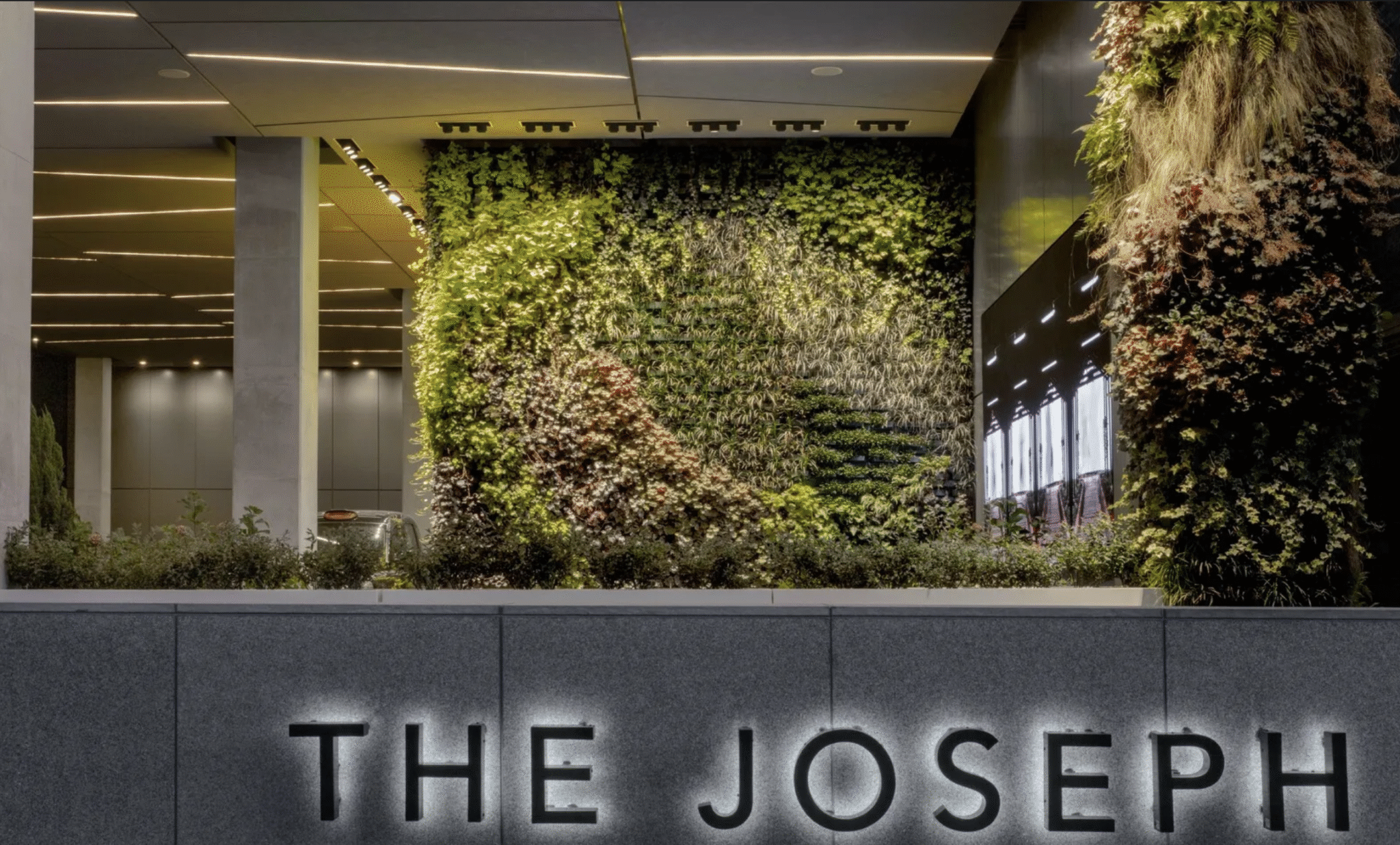 A Guide to Correctly Implement Green Walls in Architecture